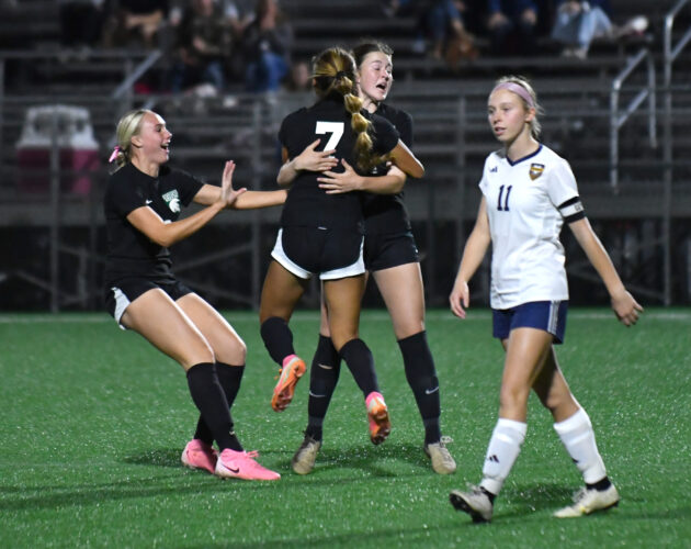 Elizabeth Wolfe propels Hughesville past Montoursville in District 4 ...